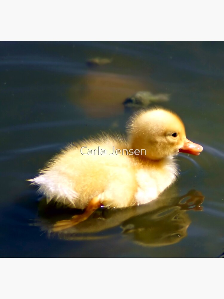 "Little Rascal " Sticker for Sale by puffkitty3 | Redbubble
