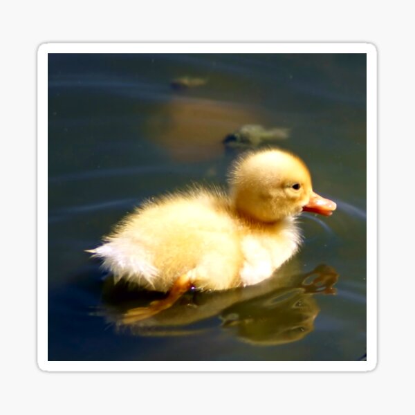 "Little Rascal " Sticker for Sale by puffkitty3 | Redbubble