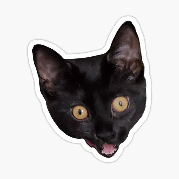 "soup lickin' the chops" Sticker for Sale by JamBeeHive | Redbubble