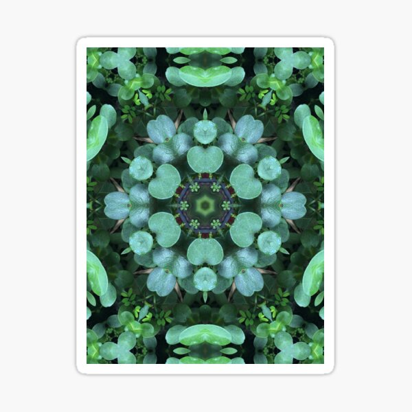 "Garden Mandala - Nature Kaleidoscope" Sticker for Sale by JungleVision ...