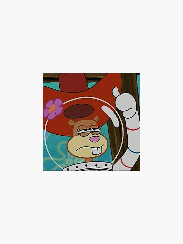 "Sandy Cheeks" Sticker for Sale by holdenstaten16 | Redbubble