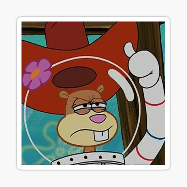 "Sandy Cheeks" Sticker for Sale by holdenstaten16 | Redbubble