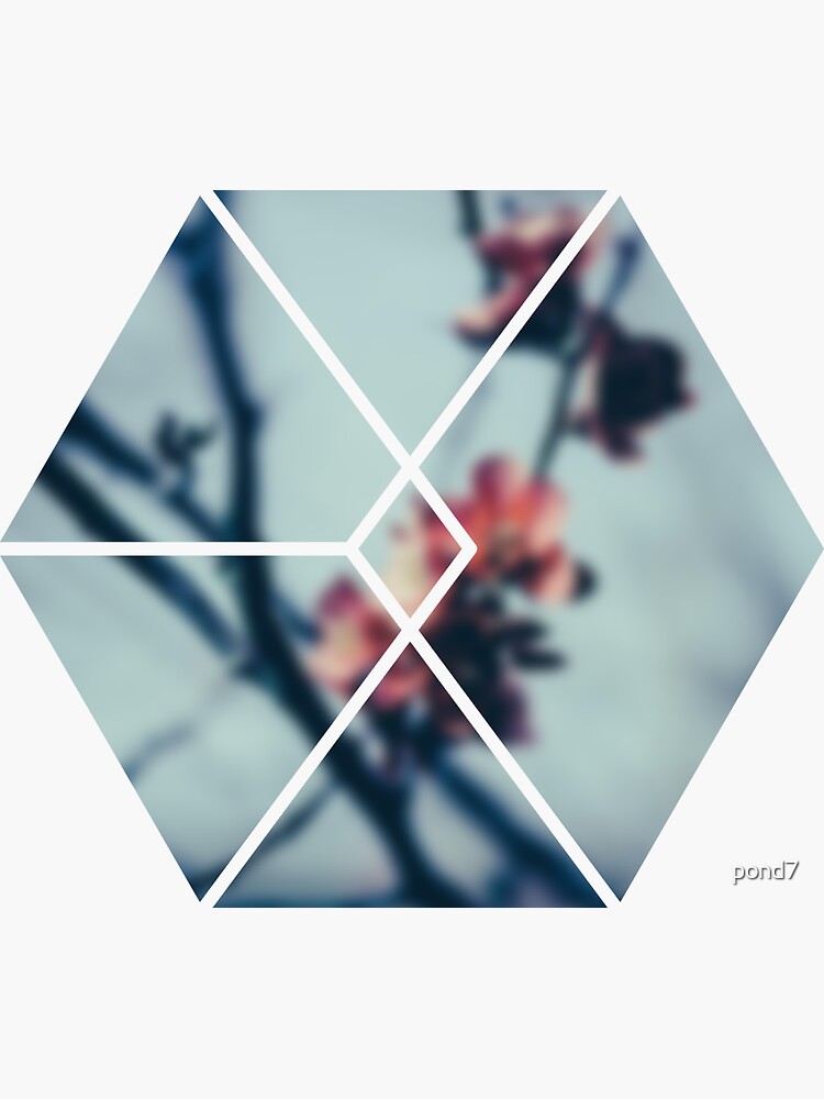 "EXO Logo" Sticker by pond7 | Redbubble