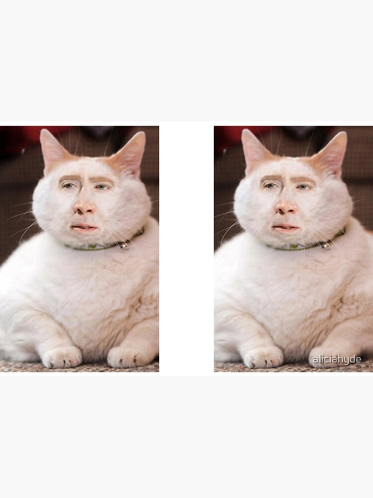 Nicolas Cage Photoshop Cat Etsy Business Will Turn You Into Nicolas