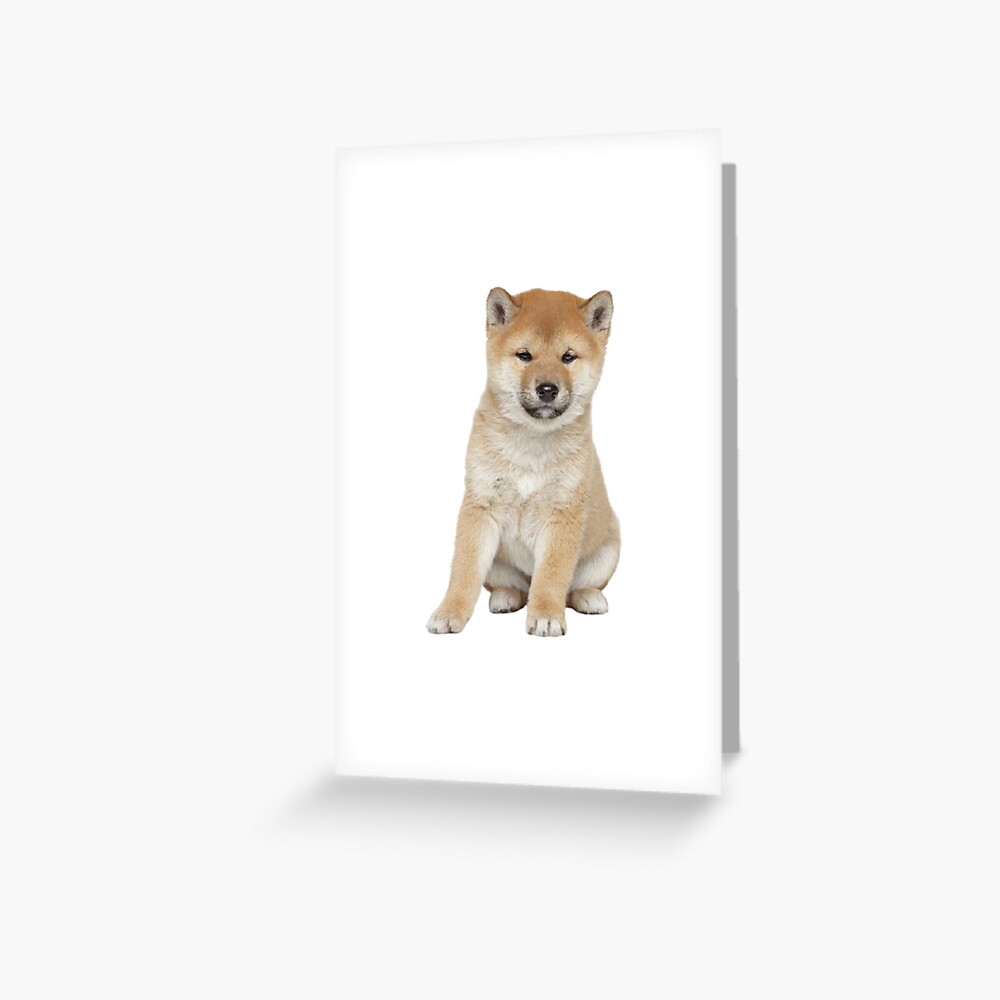 "Shiba Bonk in 4K" Greeting Card by robthefork | Redbubble