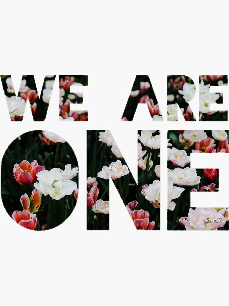 "We Are One" Sticker for Sale by pond7 | Redbubble