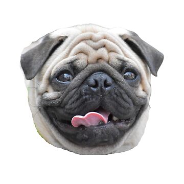"cute pug tongue funny" Poster for Sale by Arun Fernando | Redbubble