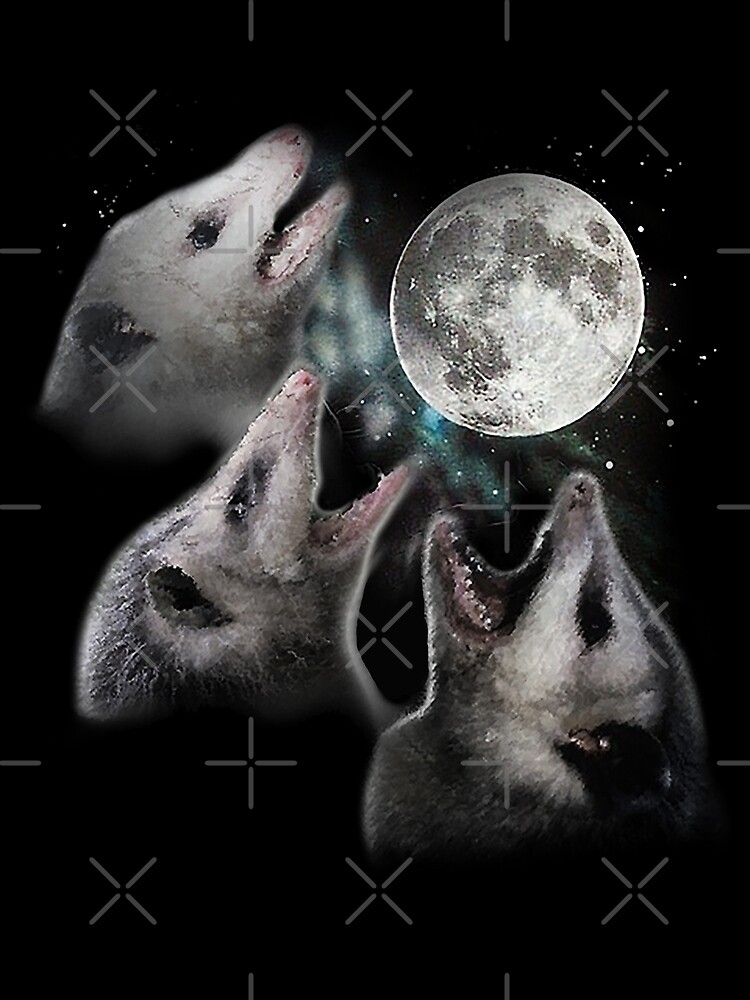 "Possum moon" Poster for Sale by BattleGoat | Redbubble