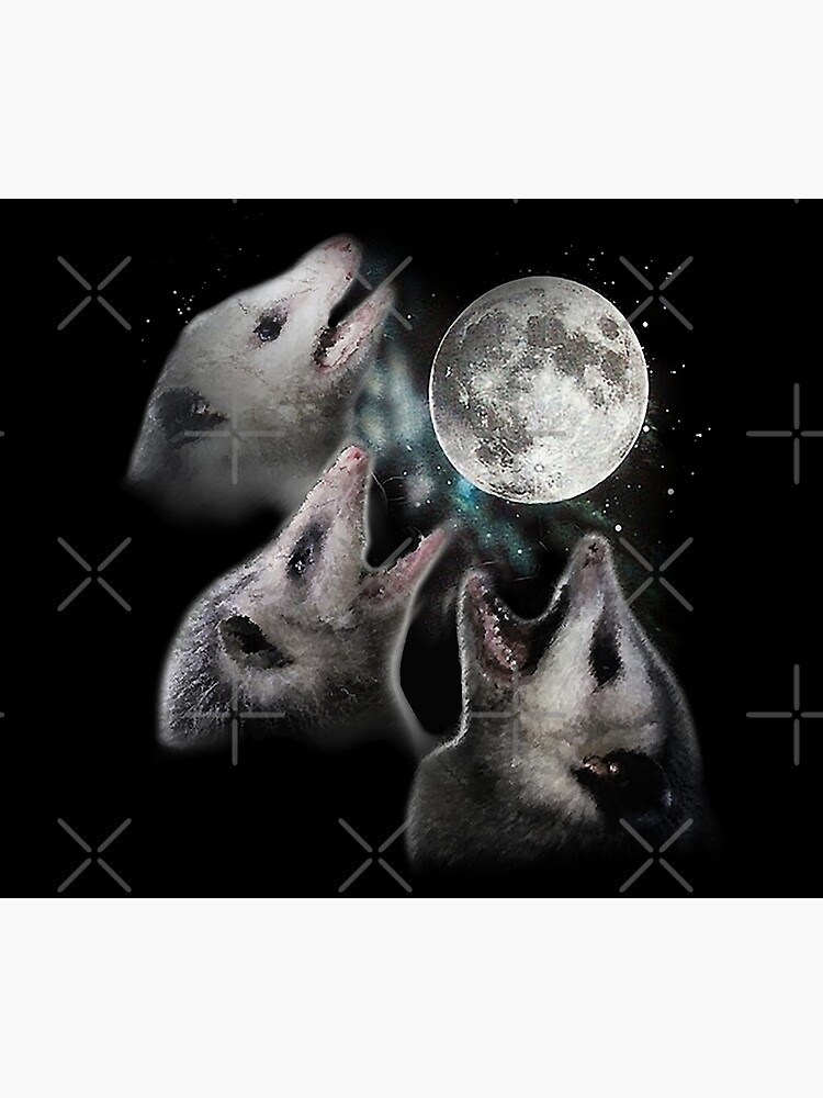 Possum Moon Tapestry