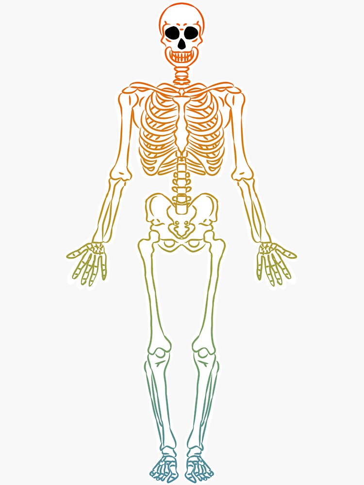 "Rainbow skeleton" Sticker for Sale by Engin1881 | Redbubble
