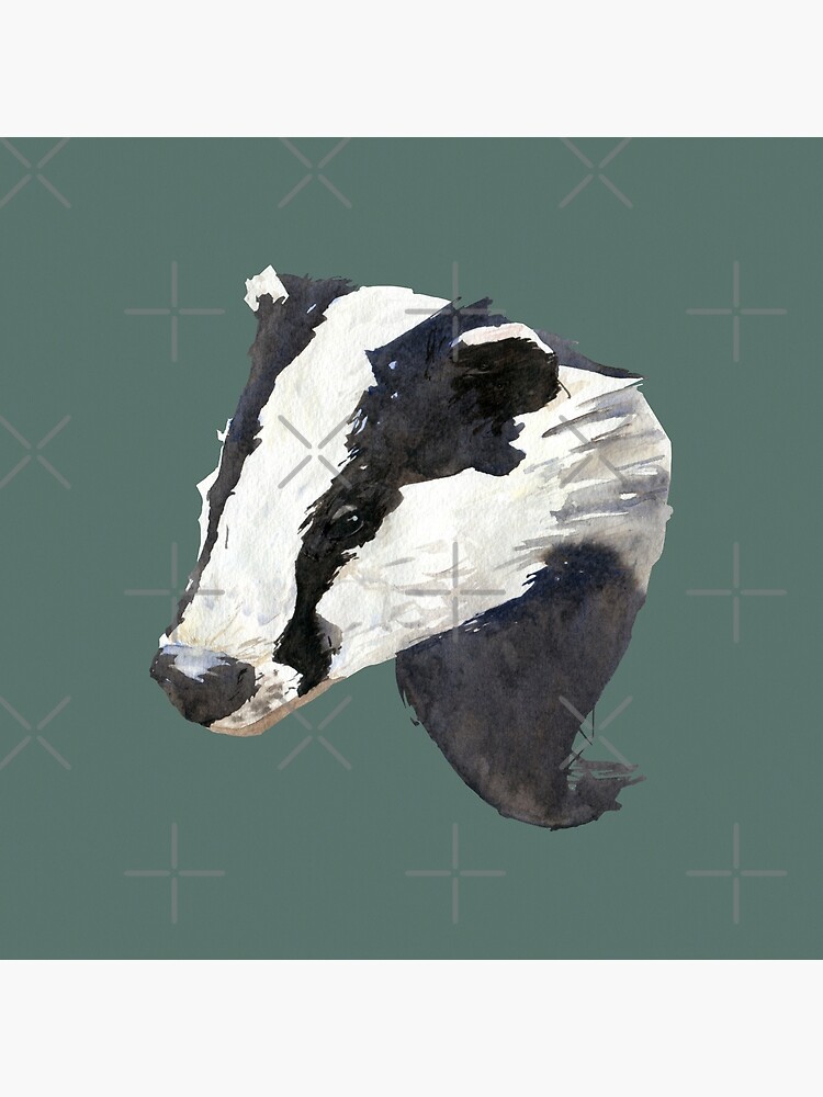 Póster «Cara de tejón inglés - pintura de acuarela animal del bosque ...