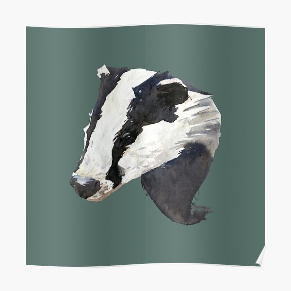 Póster «Cara de tejón inglés - pintura de acuarela animal del bosque ...