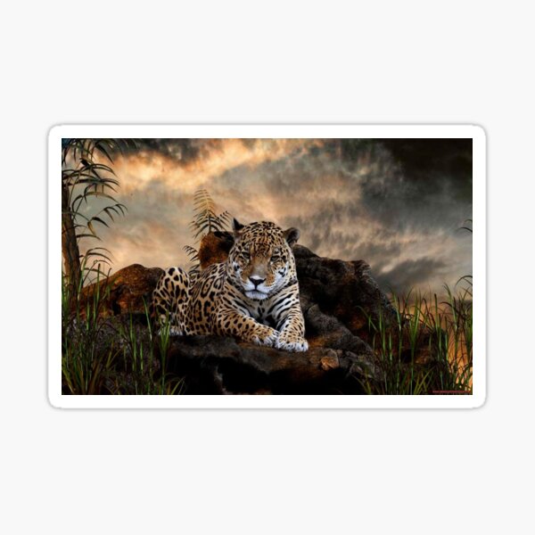 "Tigar Tiger" Sticker for Sale by Store-Casper | Redbubble