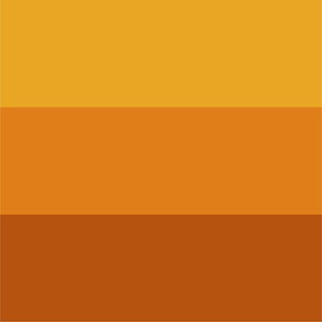 "70s Color Palette - orange brown retro 3 color scheme" Photographic ...