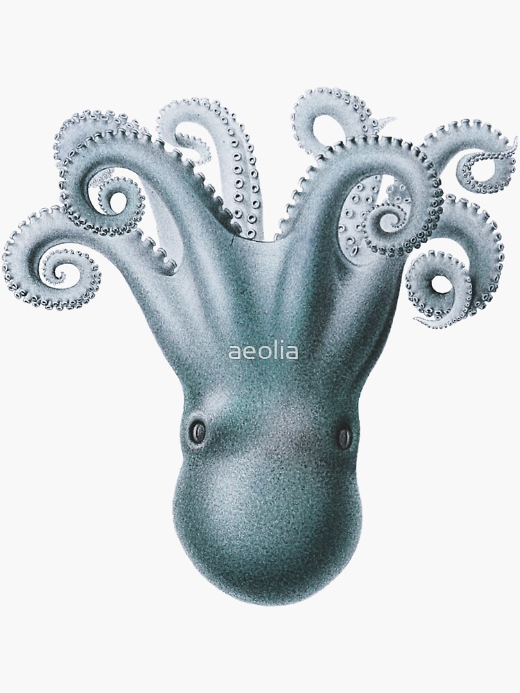 "Shimmery Blue Upside-Down Octopus" Sticker for Sale by aeolia | Redbubble