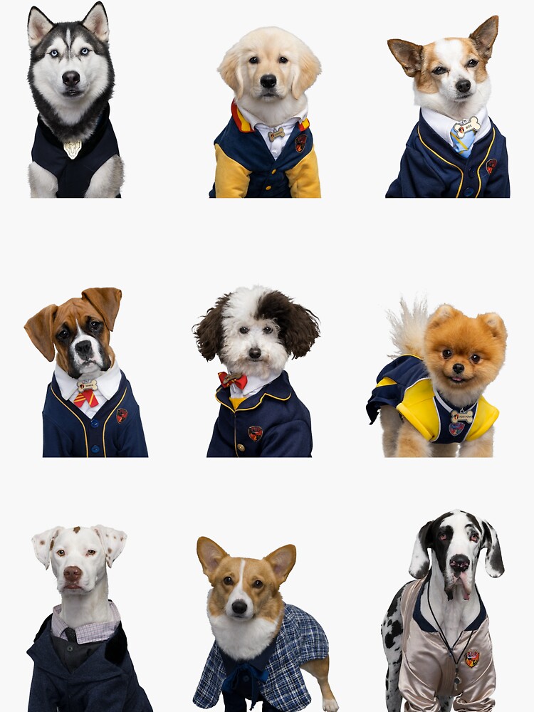 "Pup Academy show" Sticker for Sale by oldschool-kids | Redbubble