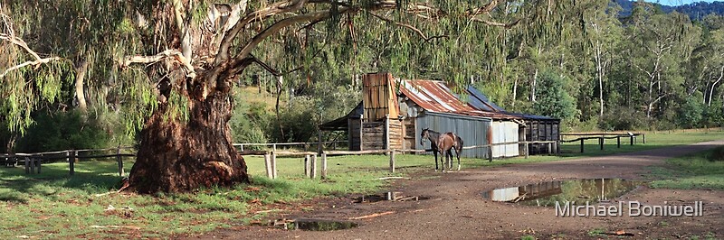 "Frys Hut, Howqua Hills, Australia" by Michael Boniwell | Redbubble