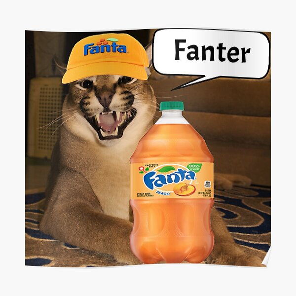 Póster «Big Floppa Cat Meme Fanter» de fomodesigns | Redbubble