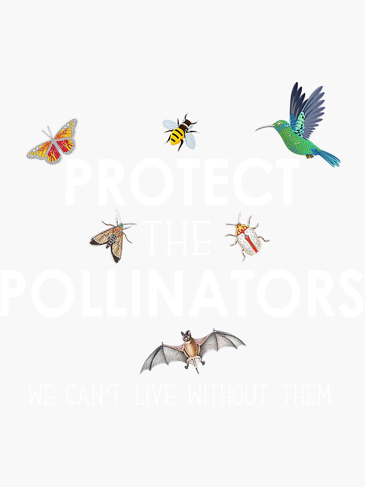 "Butterfly Bat Bees Moth Shirt Protect the Pollinators" Sticker for ...