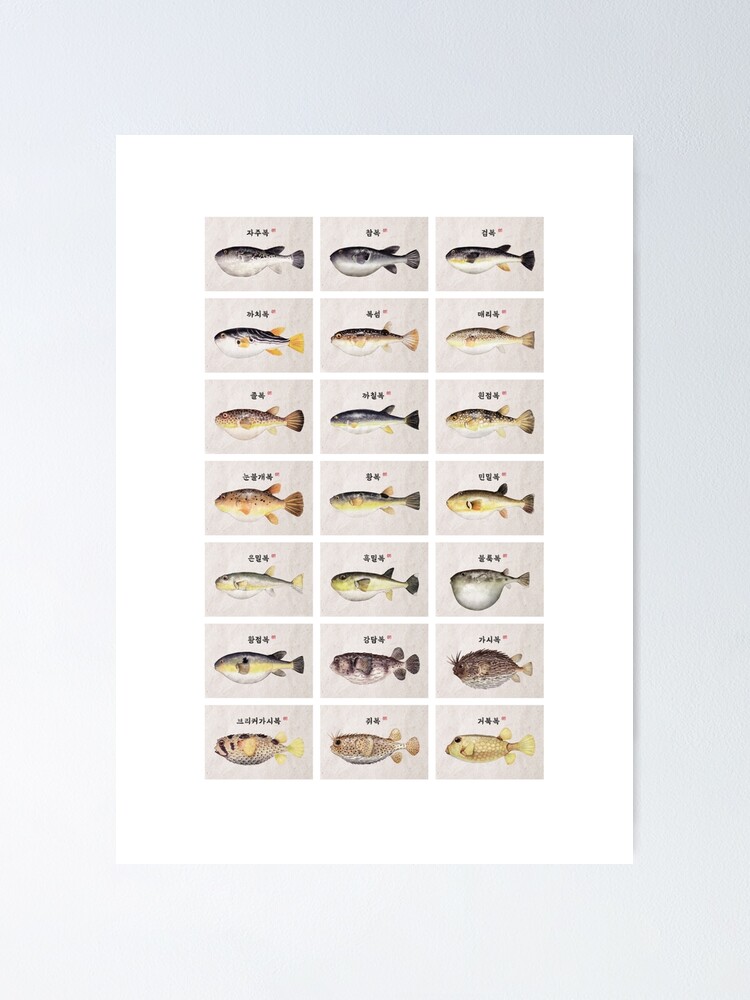 "Fugu Poster (Korean)" Poster for Sale by moonsoon | Redbubble