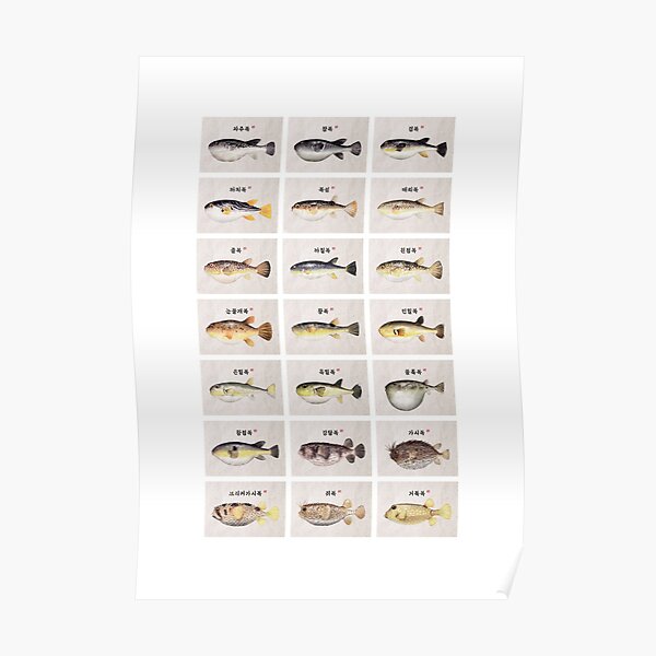 "Fugu Poster (Korean)" Poster for Sale by moonsoon | Redbubble