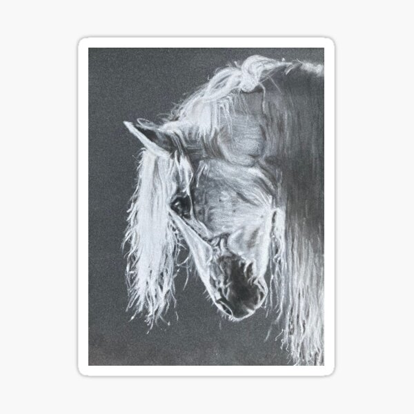 "PRE Andalusian Horse" Sticker for Sale by TheHorseArtist | Redbubble