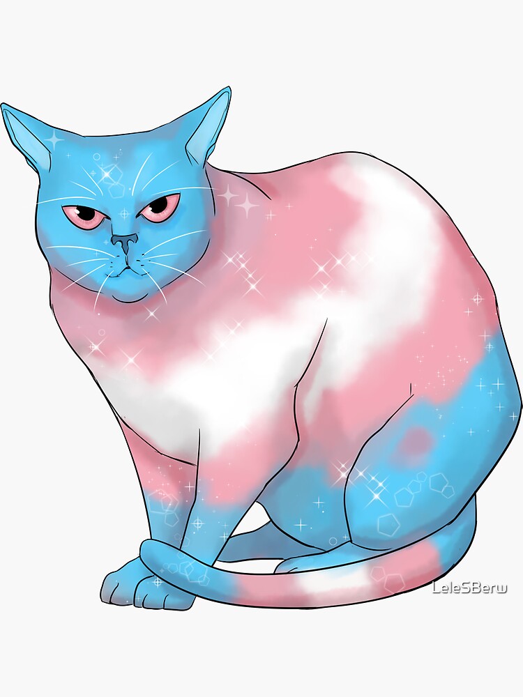 "Trans Cat" Sticker for Sale by LeleSBerw | Redbubble