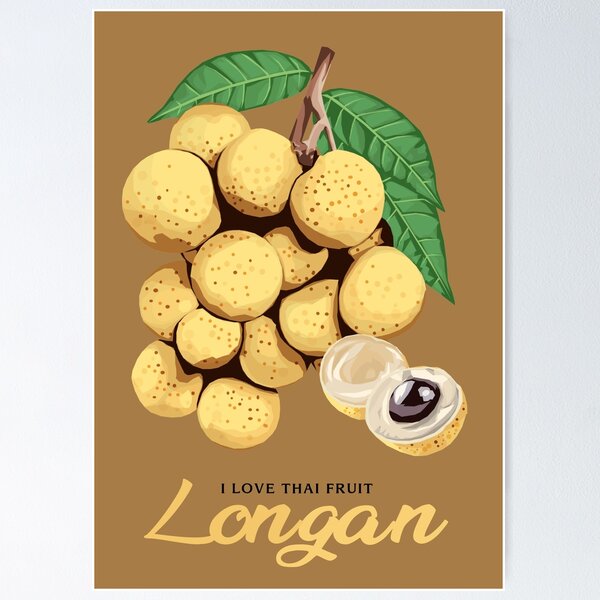 Longan Gifts & Merchandise for Sale | Redbubble
