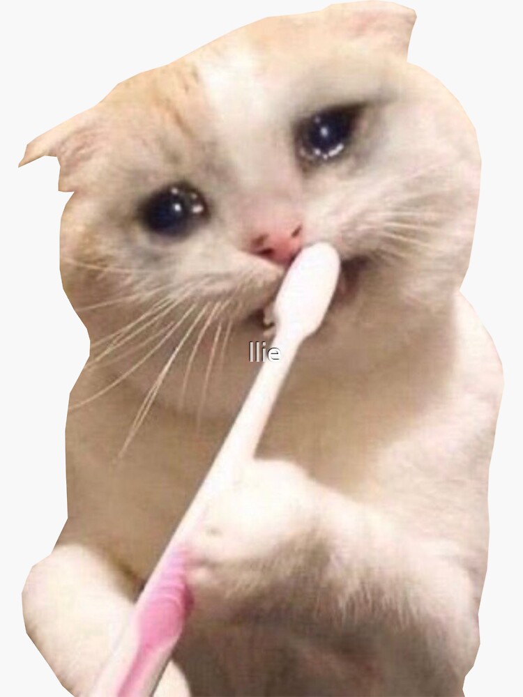 " Teeth Cat meme" Sticker by llie | Redbubble