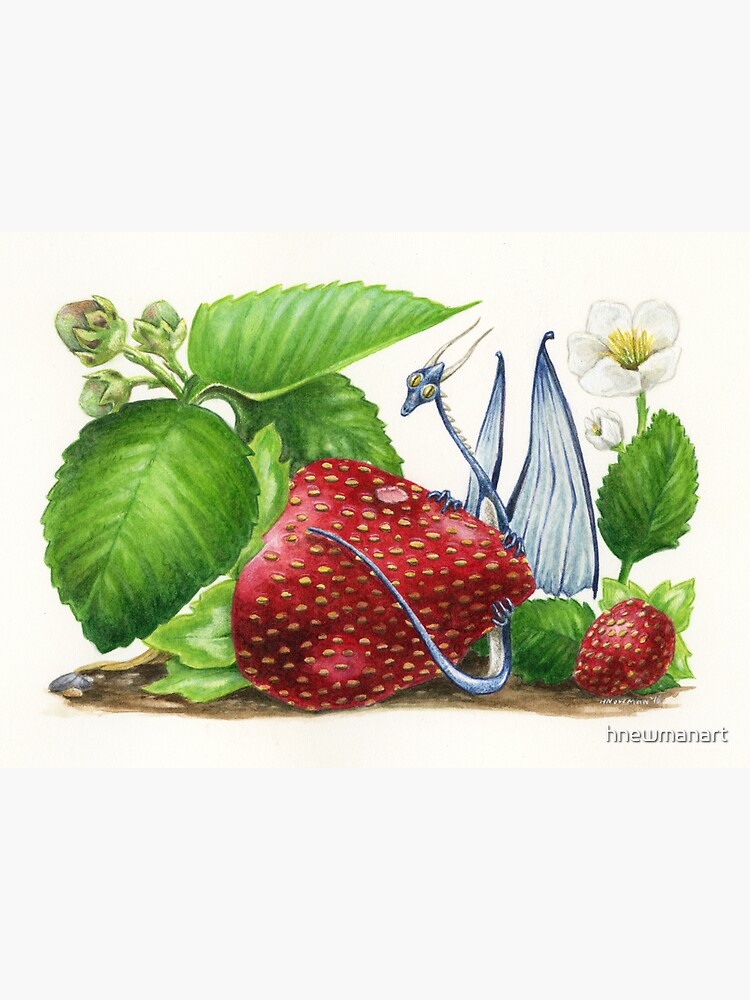 "Strawberry Dragon" Sticker for Sale by hnewmanart | Redbubble