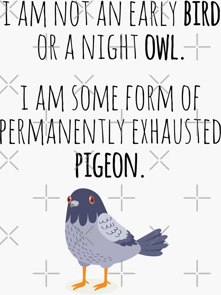 "Funny Exhausted Pigeon | I'm not an early bird or a night owl I Am ...