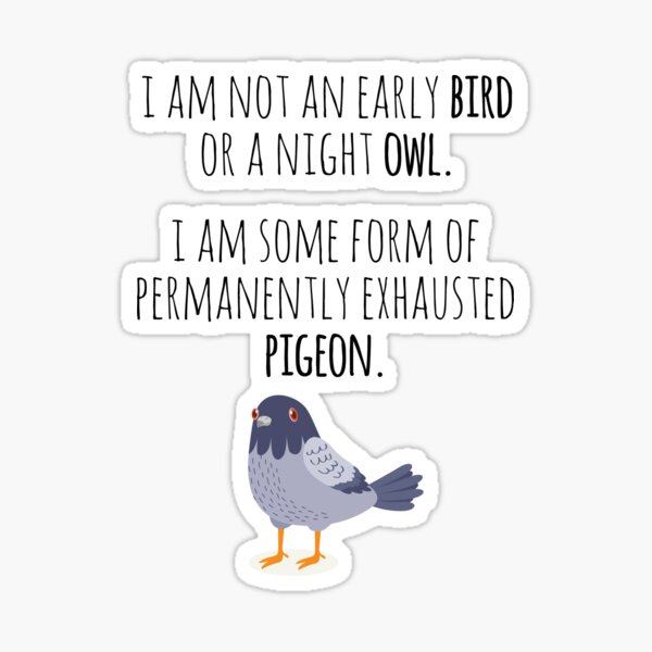 "Funny Exhausted Pigeon | I'm not an early bird or a night owl I Am ...