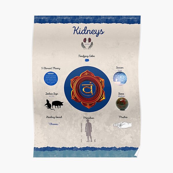 "The Kidney Meridian" Poster by SavannaghH | Redbubble