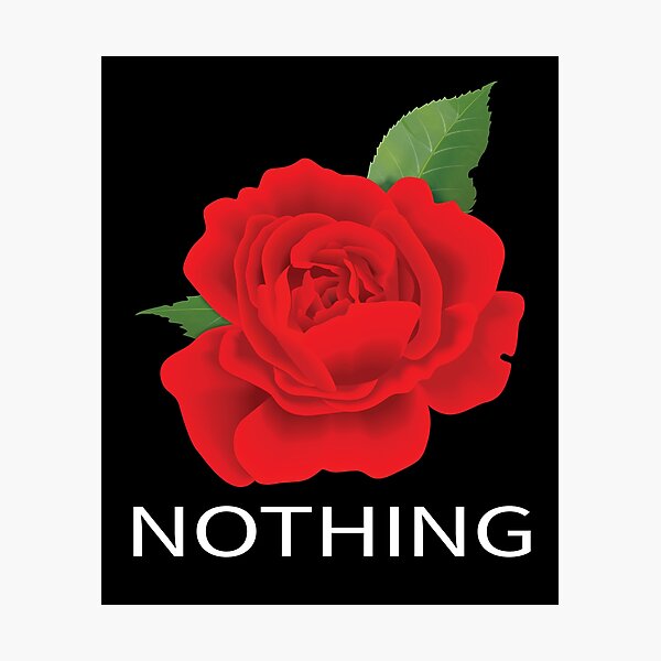 "BLACKMYTH Women Summer Nothing Rose,editing,asset,roses,nothing ...