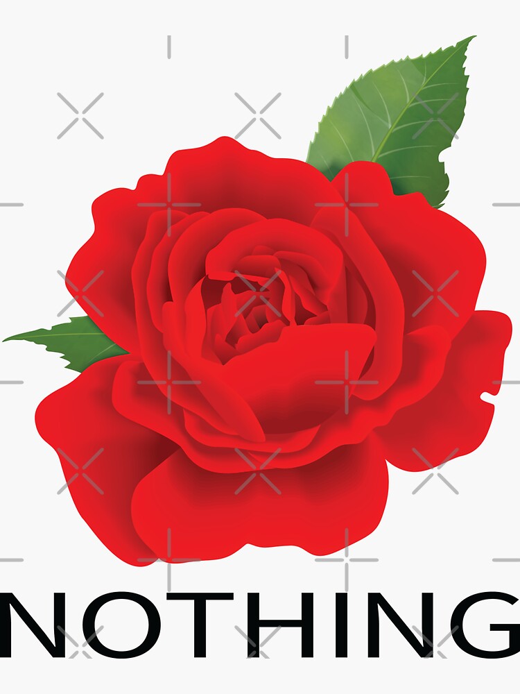 "BLACKMYTH Women Summer Nothing Rose,editing,asset,roses,nothing ...