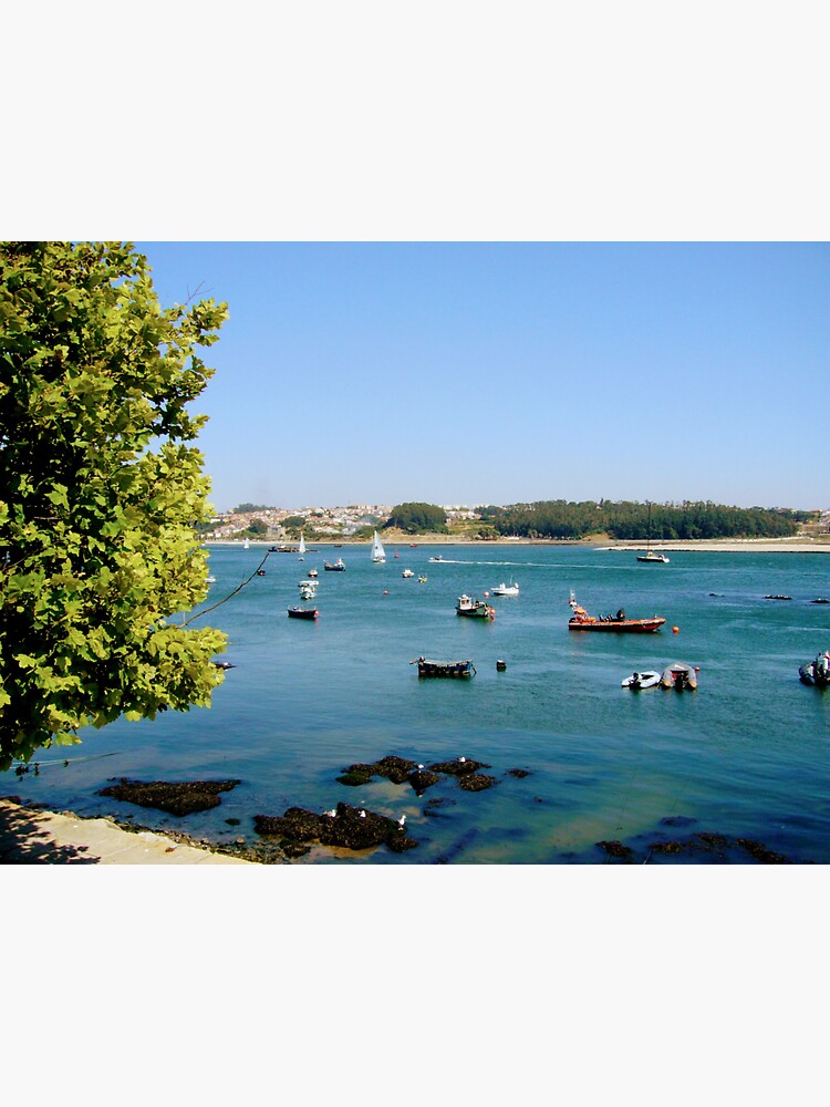 "Spanish Bay" Sticker for Sale by GeekAndNerdy | Redbubble