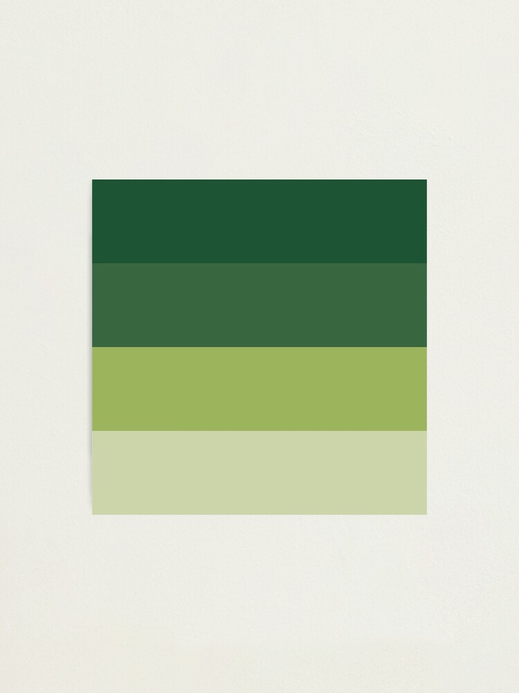 "70s color palette - green retro color scheme" Photographic Print for ...