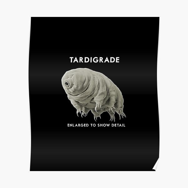 "Enlarged to Show Detail - Tardigrade" Poster for Sale by twHistory ...
