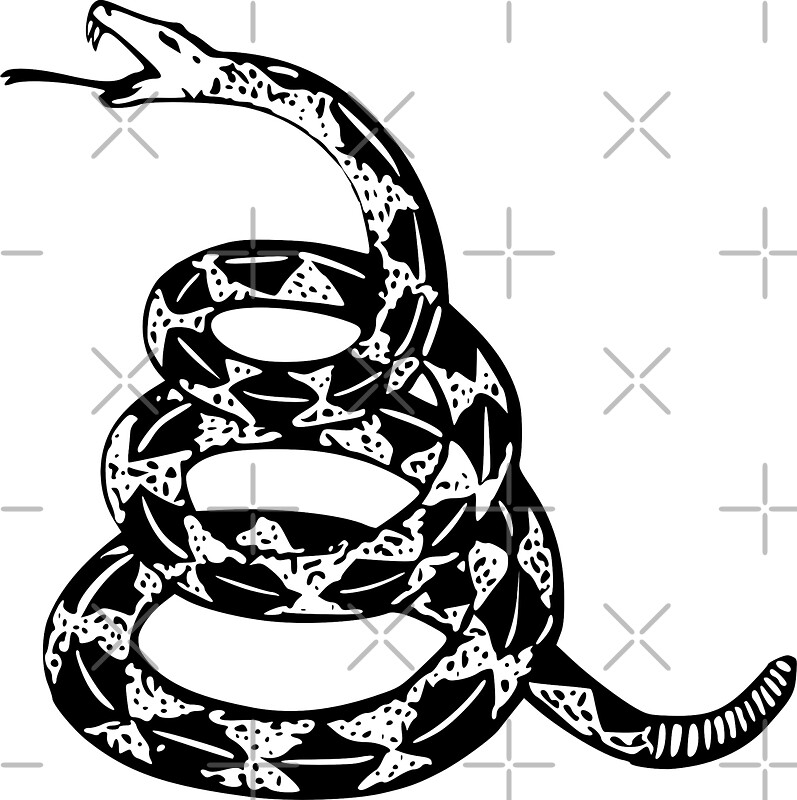 Rattlesnake: Stickers | Redbubble