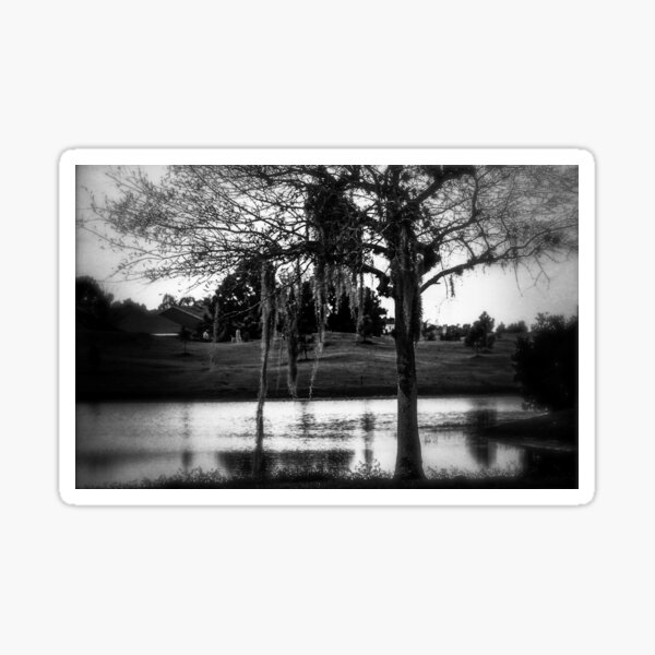 "Weeping Twigs" Sticker for Sale by ylavine-rb | Redbubble