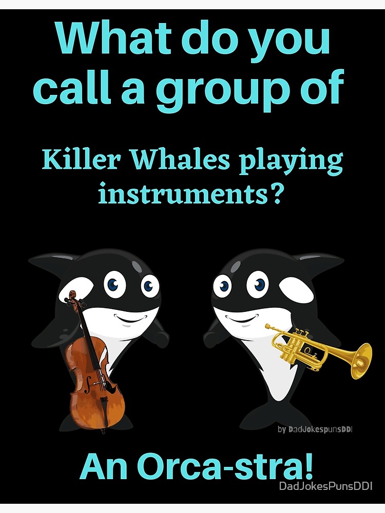 "Stupid Funny Dad Jokes: What do you call a group of Killer Whales ...