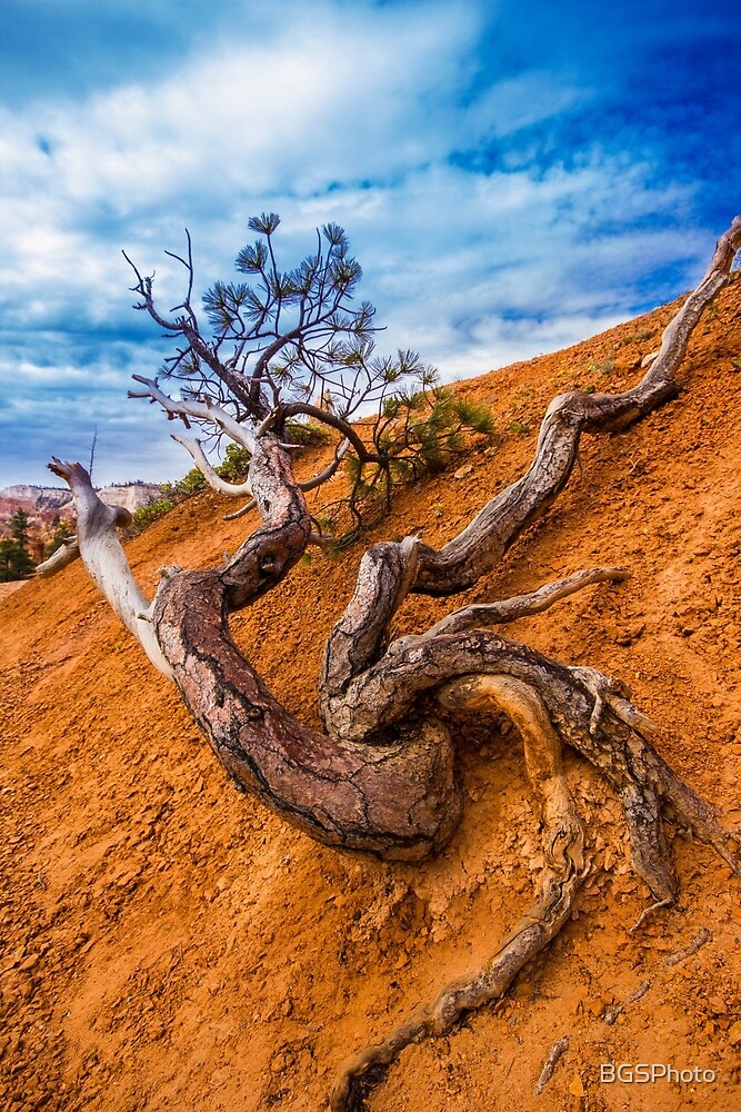 "Bryce 3 - 1" by BGSPhoto | Redbubble