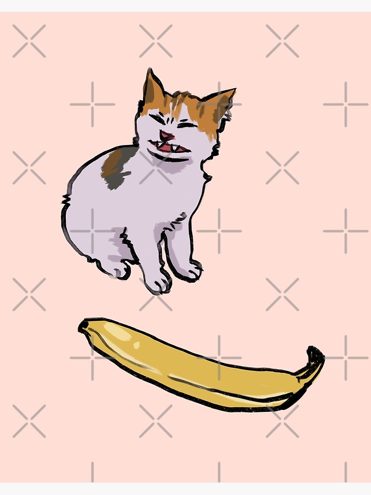 Angry Cat Meme Drawing Drawing An Angry Cat On My Math Homework