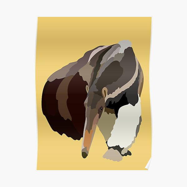 "A is for Anteater " Poster for Sale by thezoogirl | Redbubble
