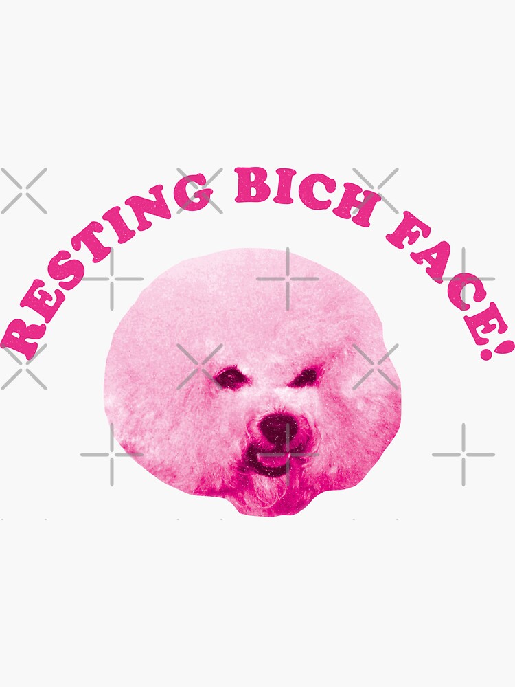 "Resting Bich Face! | Funny Retro Vintage Bichon Frise" Sticker by ...