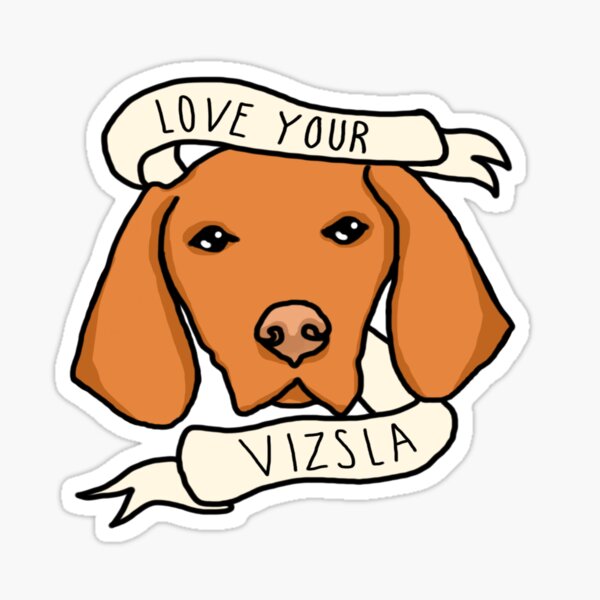 Hungarian Vizsla Gifts & Merchandise | Redbubble