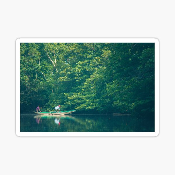 "Mangrove forest serenity" Sticker for Sale by PayoLens | Redbubble