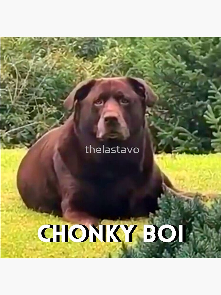 "CHONKY BOI" Poster for Sale by thelastavo | Redbubble