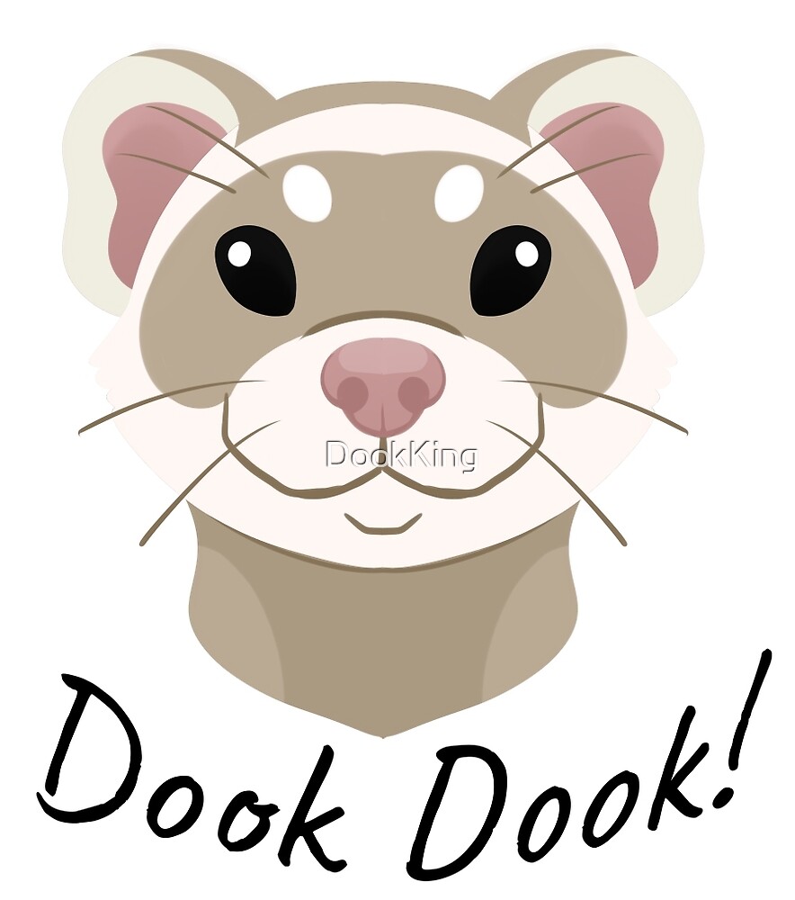 "Sandy / cinnamon / Ginger ferret dookdook " by DookKing | Redbubble