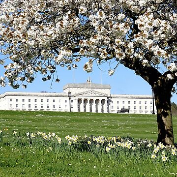 "Spring In Stormont " Greeting Card for Sale by NavorolArt | Redbubble